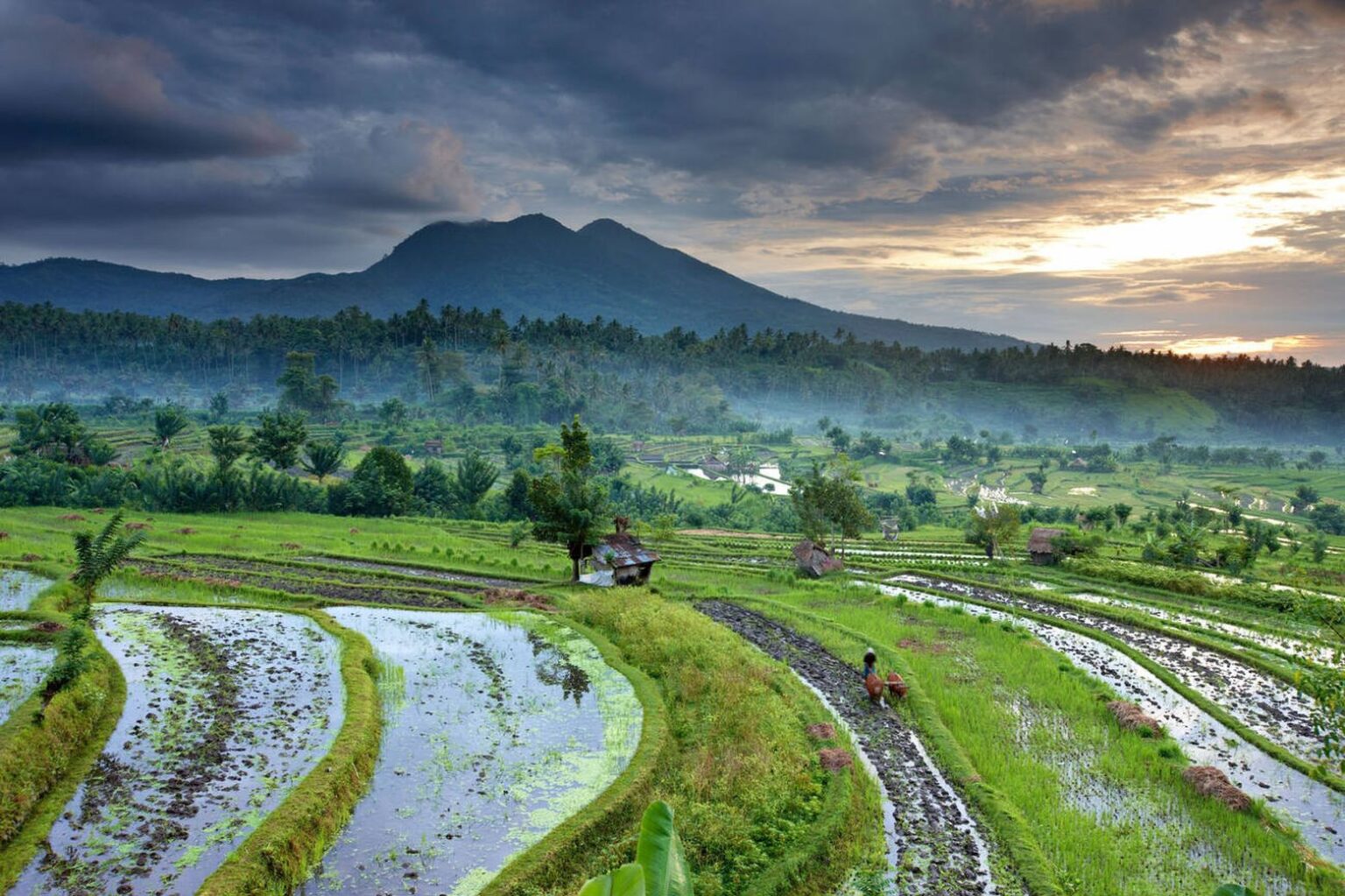 50 Bali Pictures That Will Make You Want To Travel To Indonesia